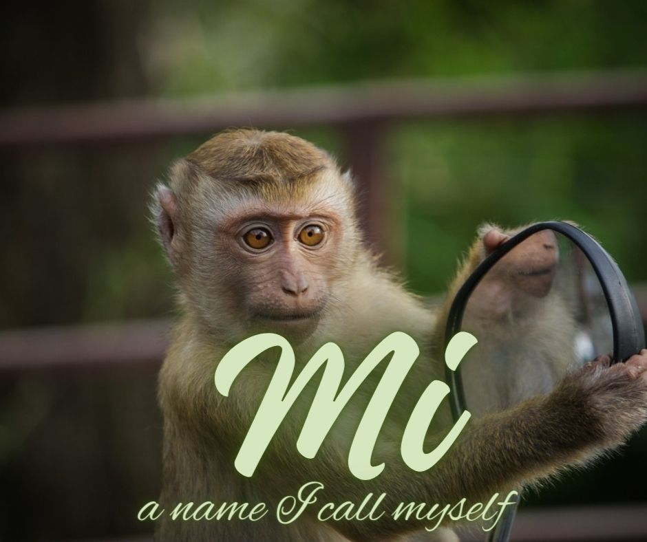 Reading Scale: Mi - Hannah Kate